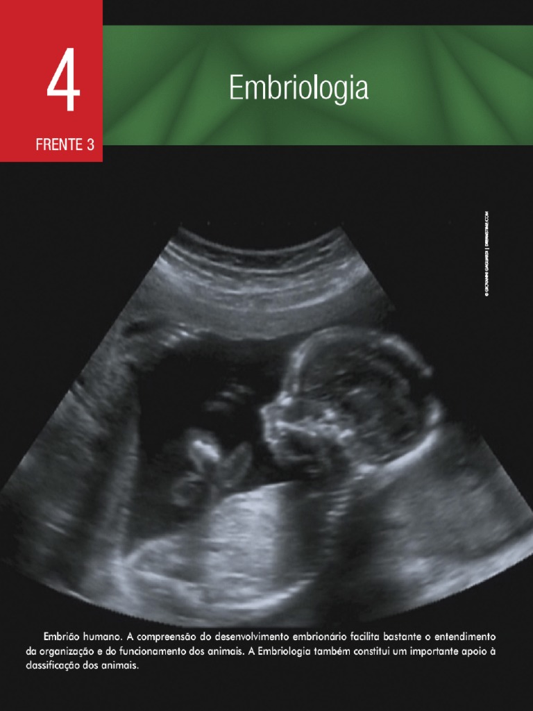 Embriologia | PDF