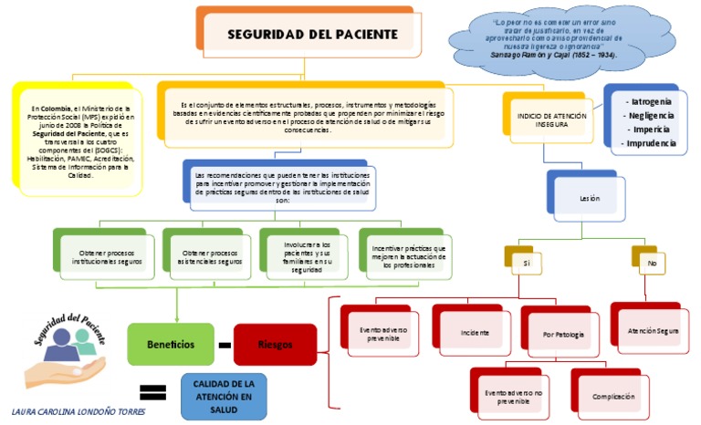 Mapa Conceptual Seguridad Del Paciente | PDF | Seguridad del paciente | Ciencias de la Salud