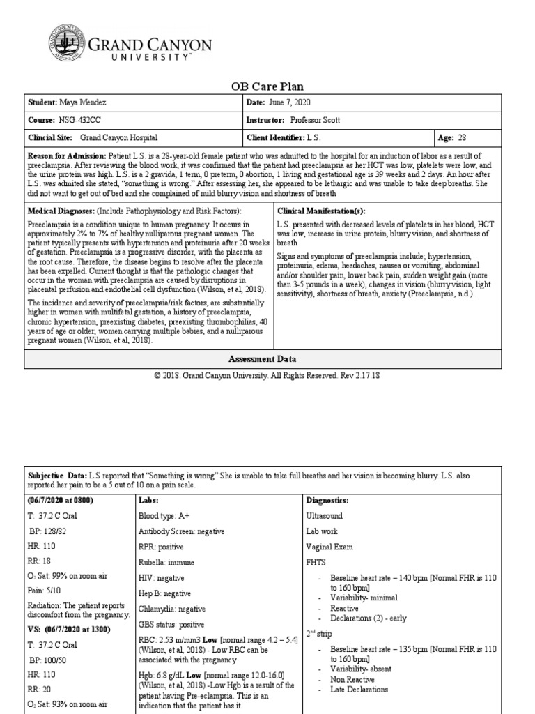 OB Care Plan: Assessment Data | PDF | Breathing | Childbirth