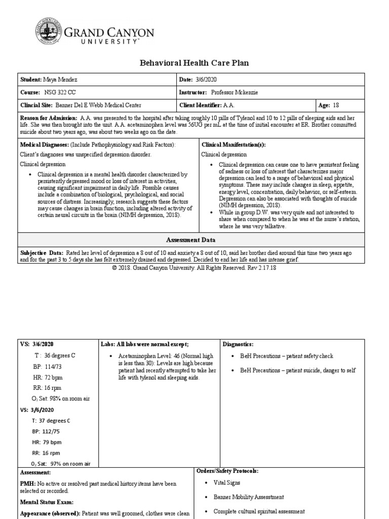 Behavioral Health Care Plan: Assessment Data | PDF | Nausea | Major ...