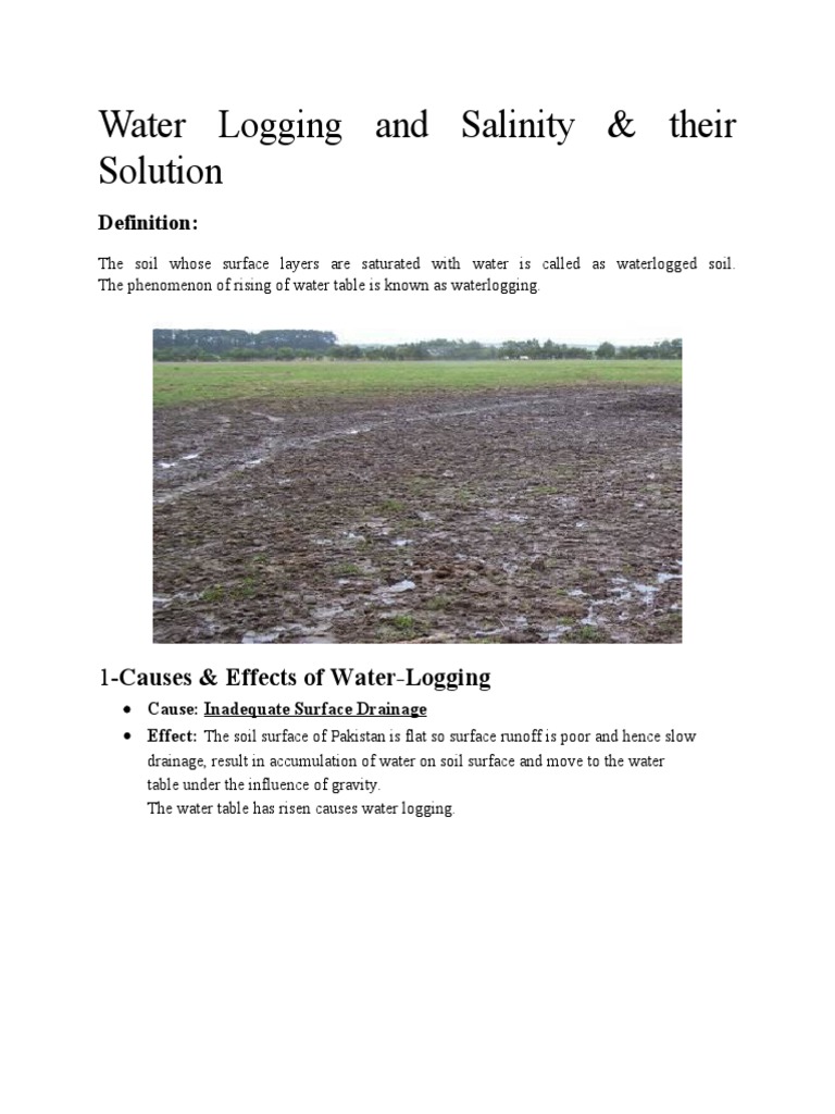 Waterlogging and Salinity in Pakistan | PDF | Drainage | Soil