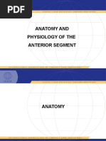 Papilledema Grading System (Frisen Scale) | PDF