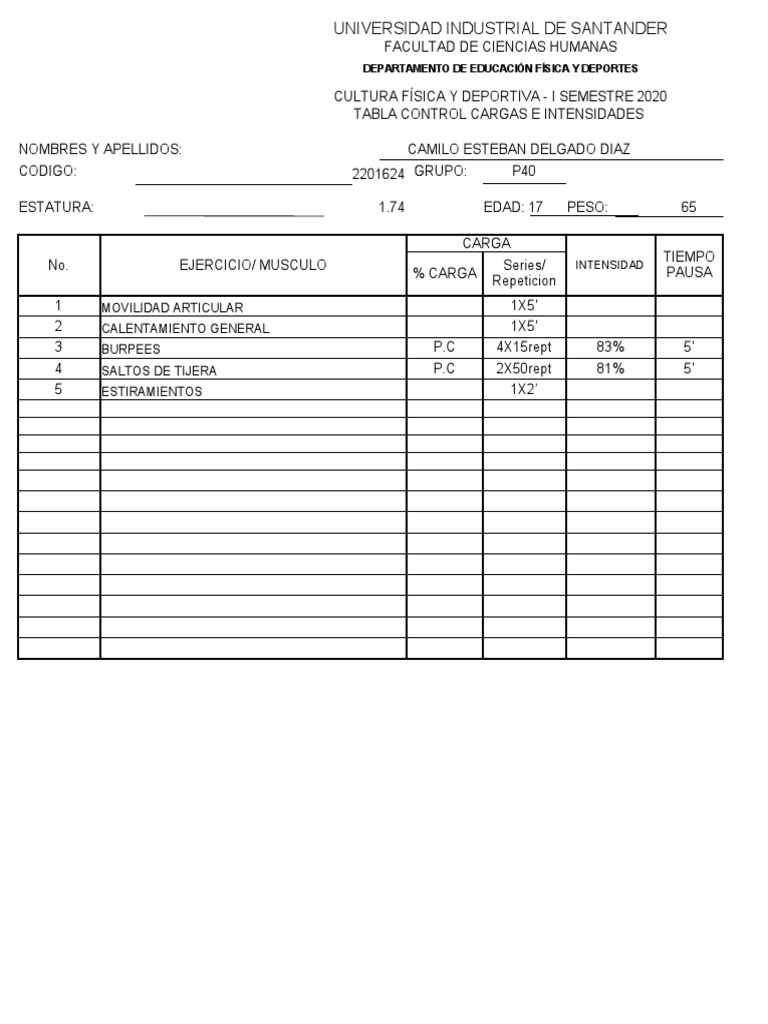 Planilla de Cargas y Intensidades | PDF