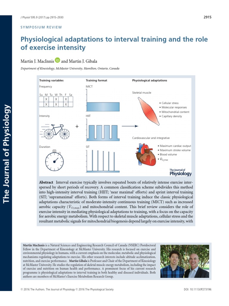 Physiological Adaptations To HIIT PDF | PDF | High Intensity Interval Training | Kinase