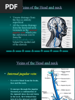 External Vs Internal Jugular Vein | PDF | Vein | Human Anatomy