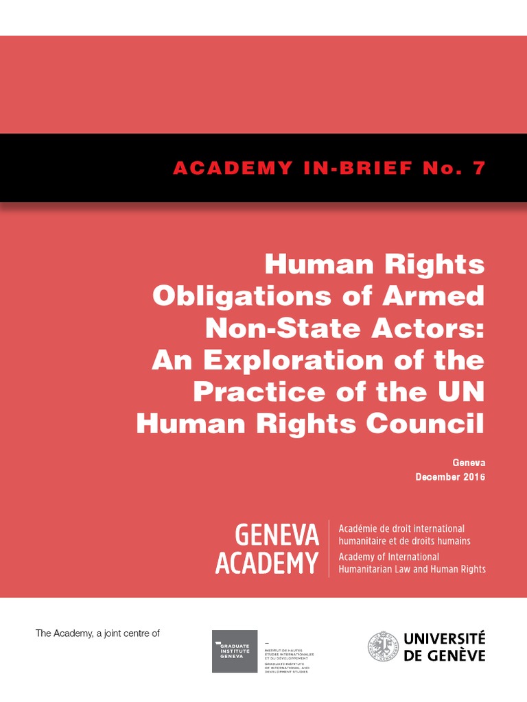 Human Rights Obligations of Armed Non-State Actors: An Exploration of ...