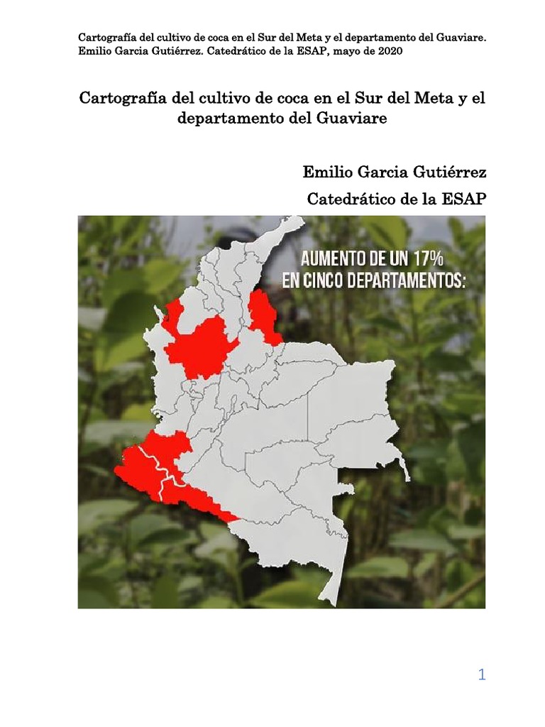 Cartografia Del Cultivo de Coca en El Sur Del Meta y El Departamento Del Guaviare EGG PDF | PDF ...