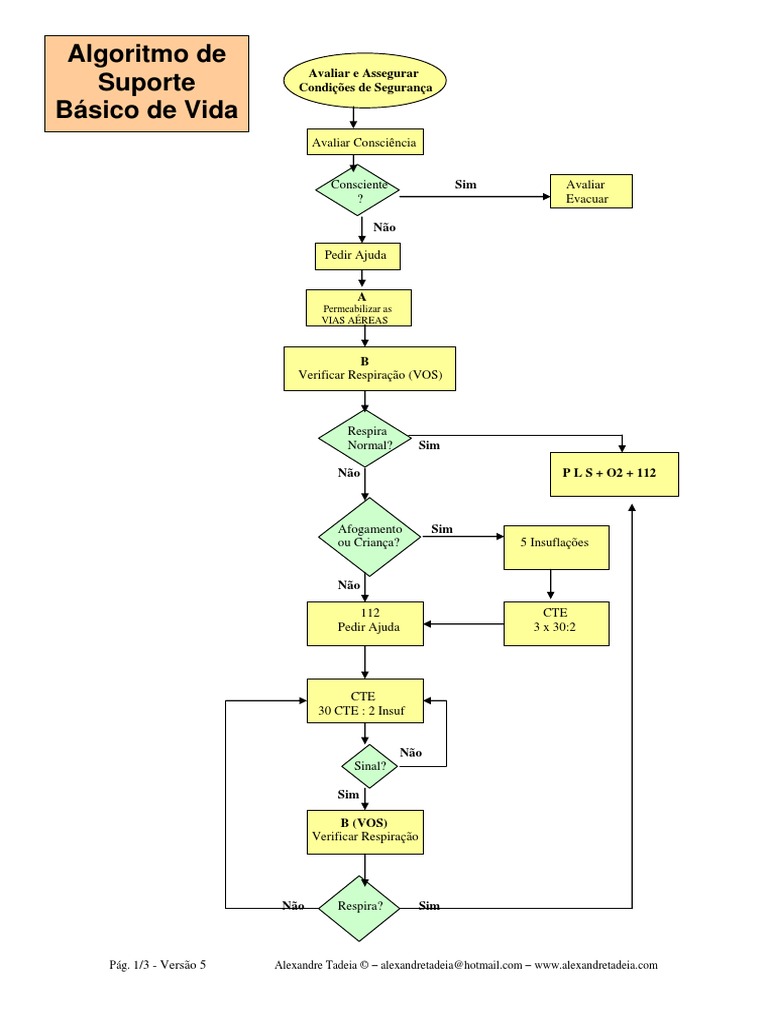 Algoritmo SBV - 2010 | PDF | Bem-estar | Médico