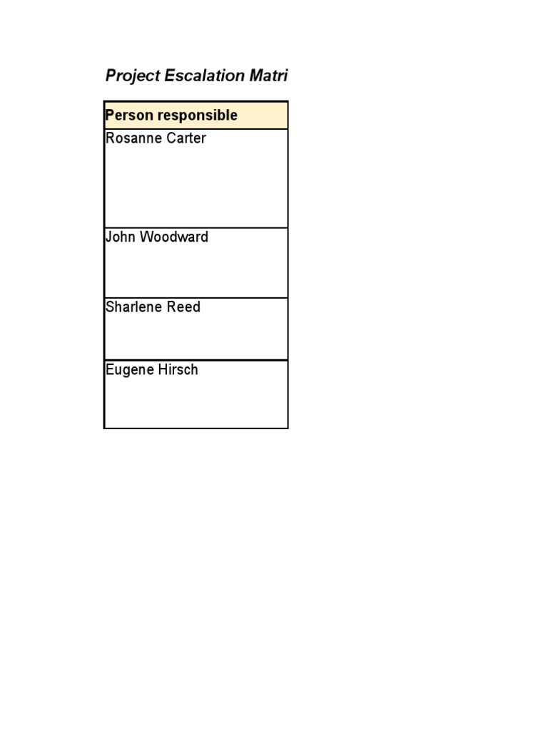 Project Escalation Matrix: Person Responsible | PDF