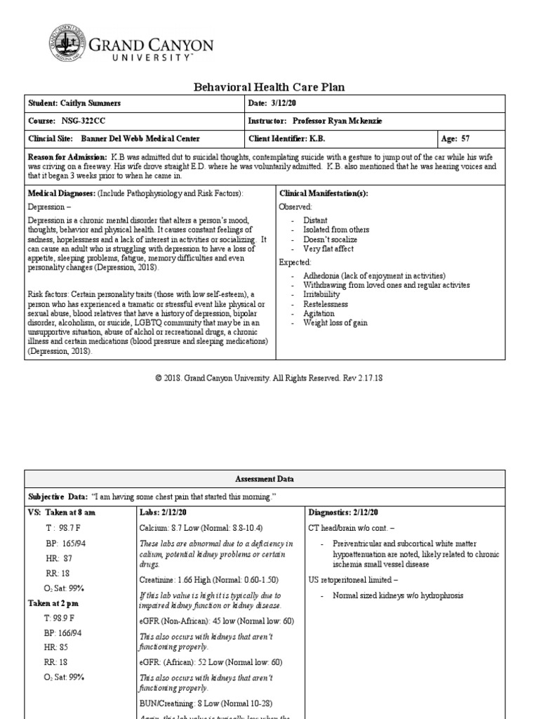 Behavioral Health Care Plan | PDF | Major Depressive Disorder | Human ...