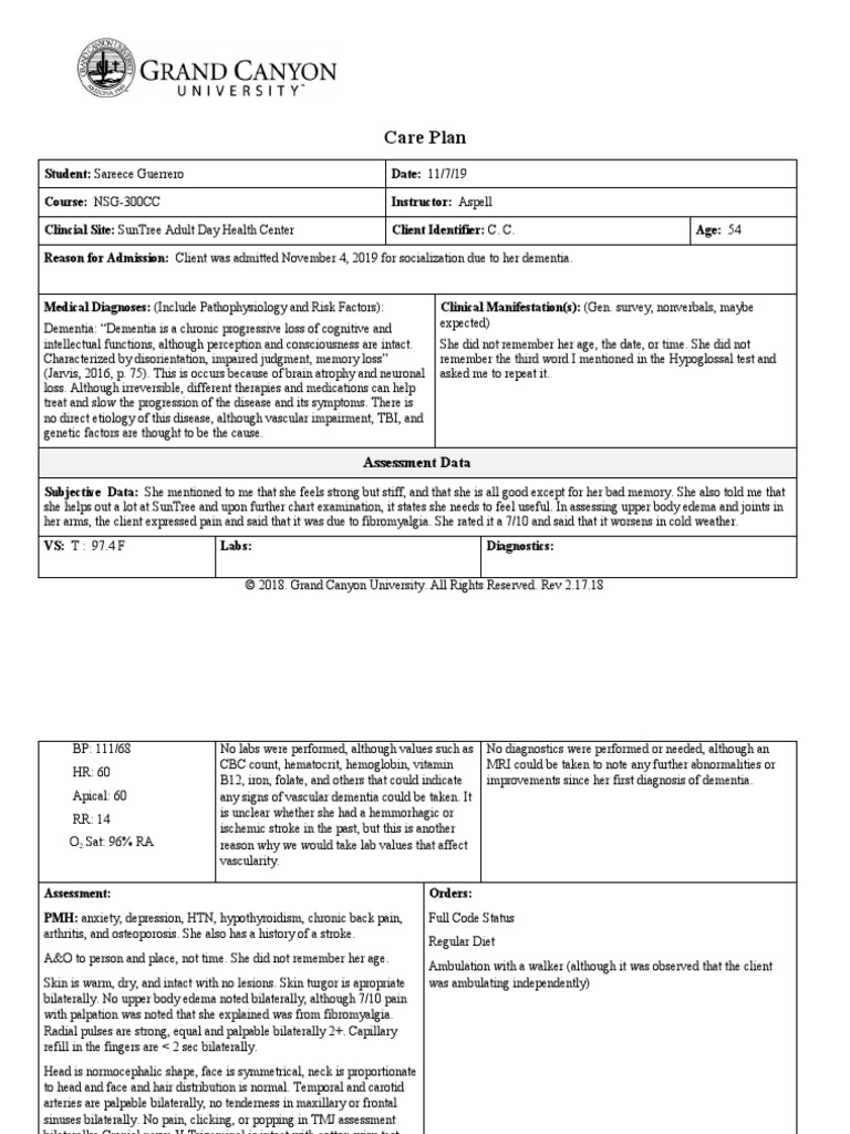 Care Plan: Assessment Data | PDF | Dementia | Pain