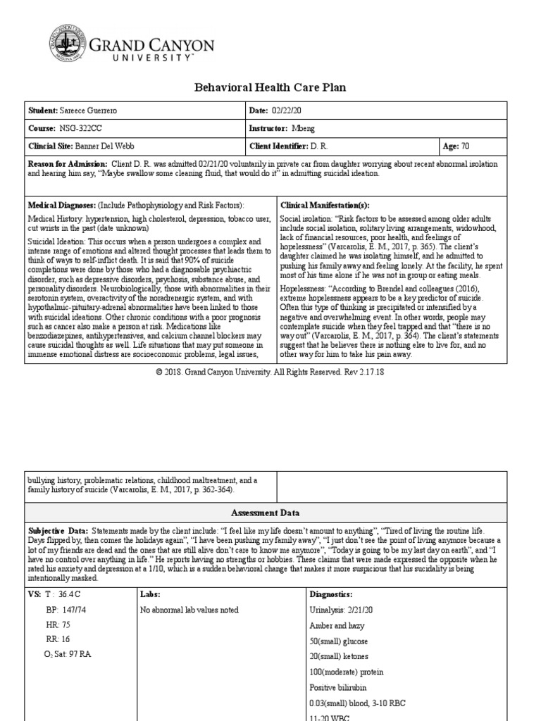 Behavioral Health Care Plan | PDF | Human Diseases And Disorders ...