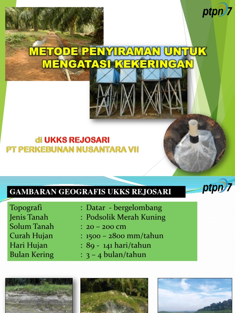 Antisipasi Kekeringan Di PTPN 7 PDF | PDF