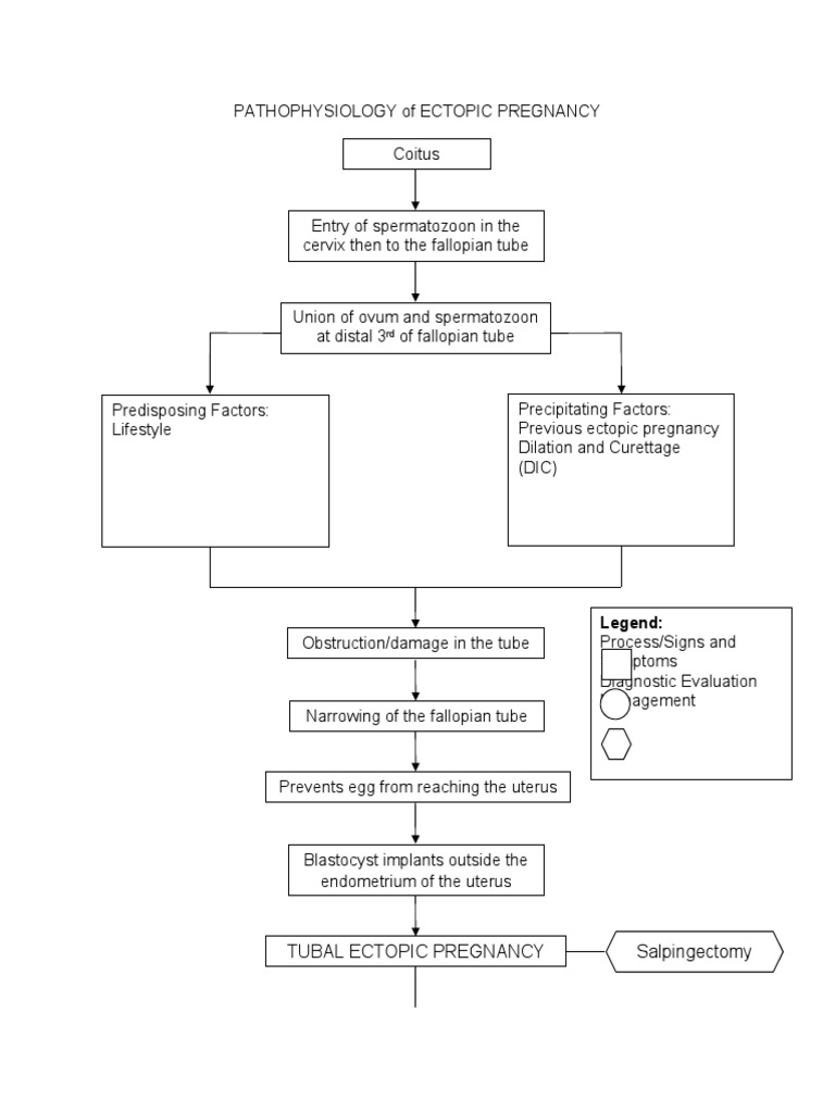 PATHOPHYSIOLOGY of ECTOPIC PREGNANCY | PDF | Uterus | Health Sciences