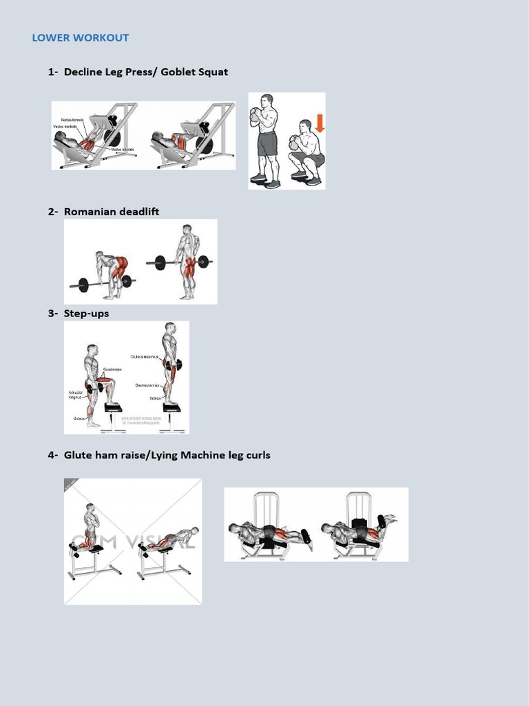 1-Decline Leg Press/ Goblet Squat: Lower Workout | PDF