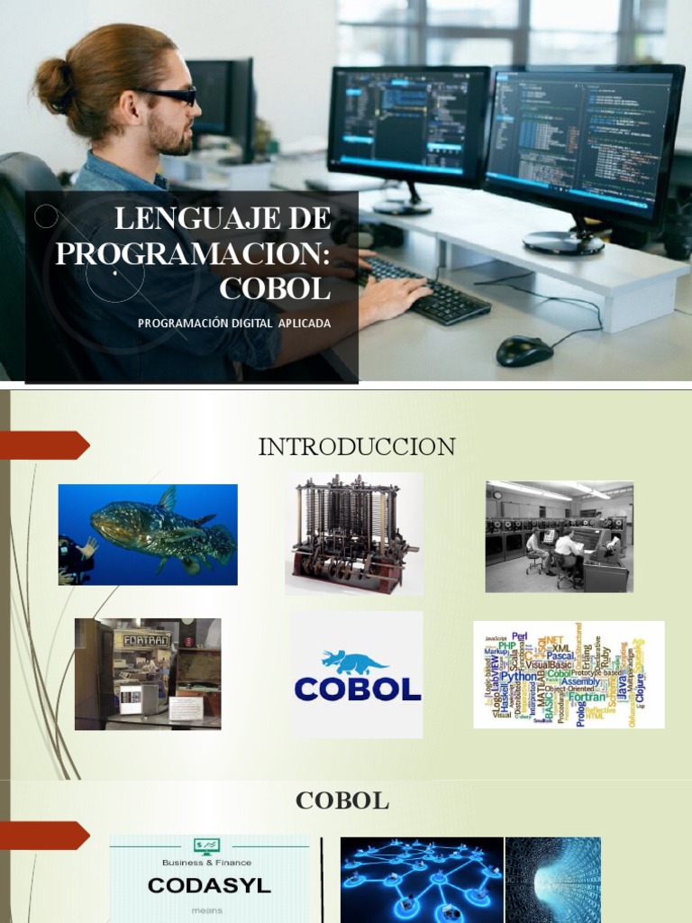 Cobol | PDF | Programa de computadora | Programación