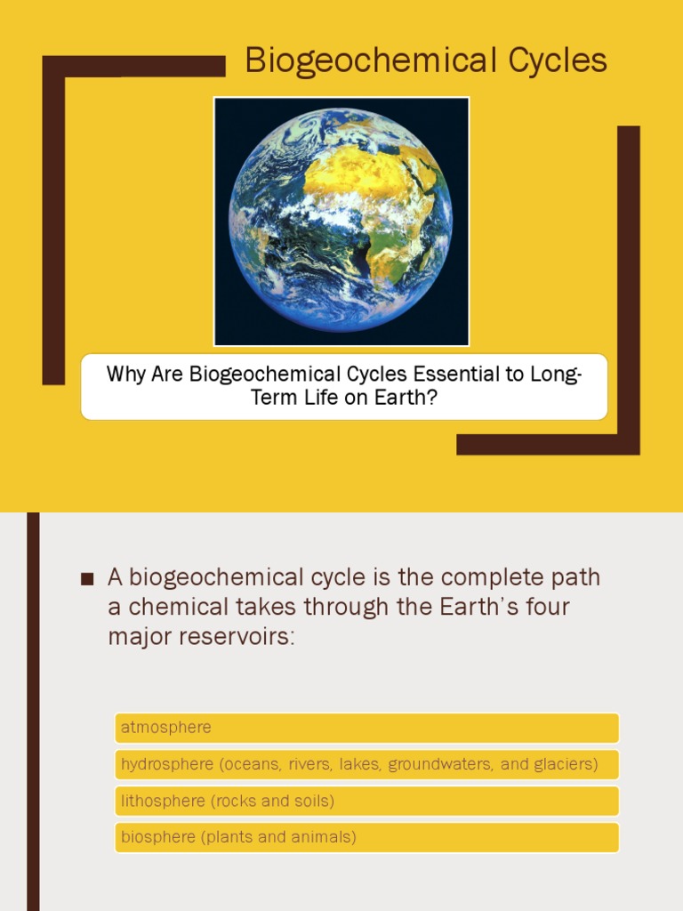 Biogeochemical Cycles: Why Are Biogeochemical Cycles Essential To Long ...