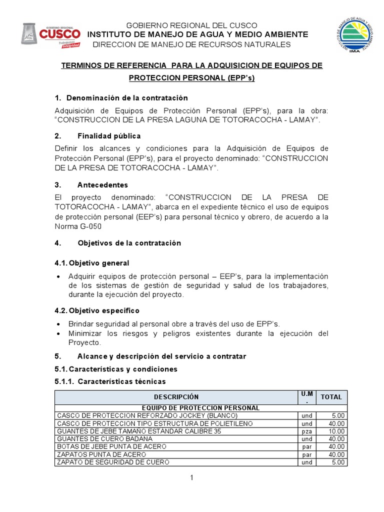 TDR para Adquisición de EPP en Cusco | PDF | Casco | Bienes de consumo