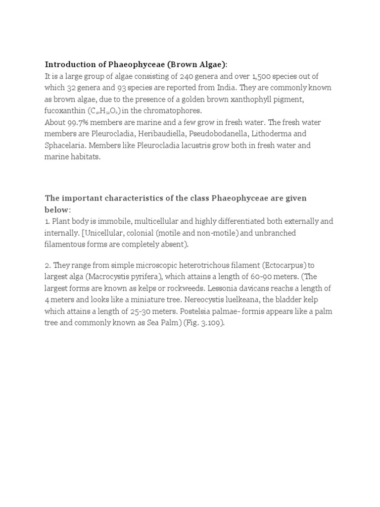 Introduction of Phaeophyceae (Brown Algae) :: The Important ...