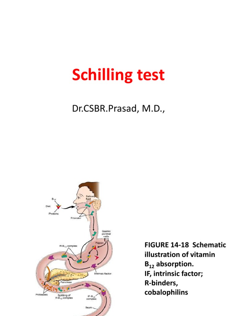 Schilling Test: DR - CSBR.Prasad, M.D. | PDF | Vitamin B12 | Medical ...