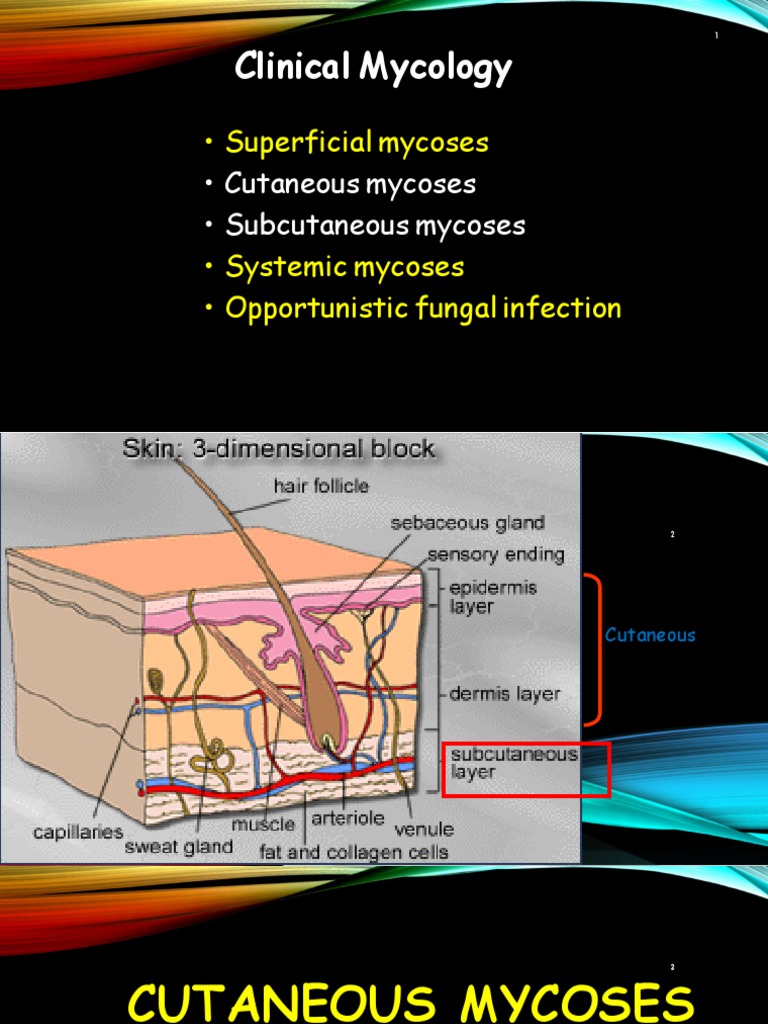 Cutaneous and Subcutaneous mycoses-FMS2-2558 | PDF | Immunology ...