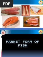 Common Cuts of Fish Explained | PDF