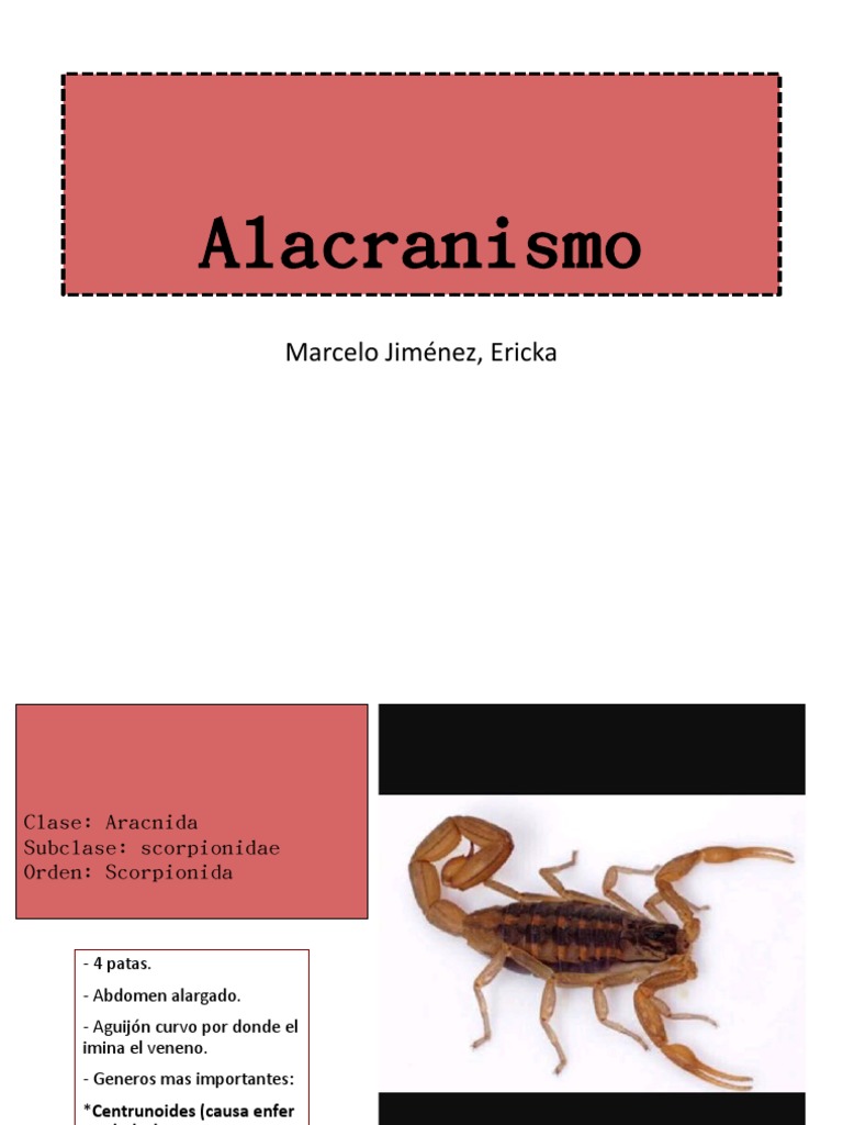 Alacranismo: Síntomas y Tratamiento | PDF | Medicina CLINICA ...