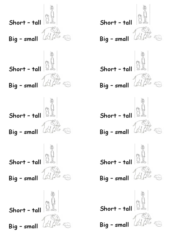 Short - Tall, Big-Small | PDF