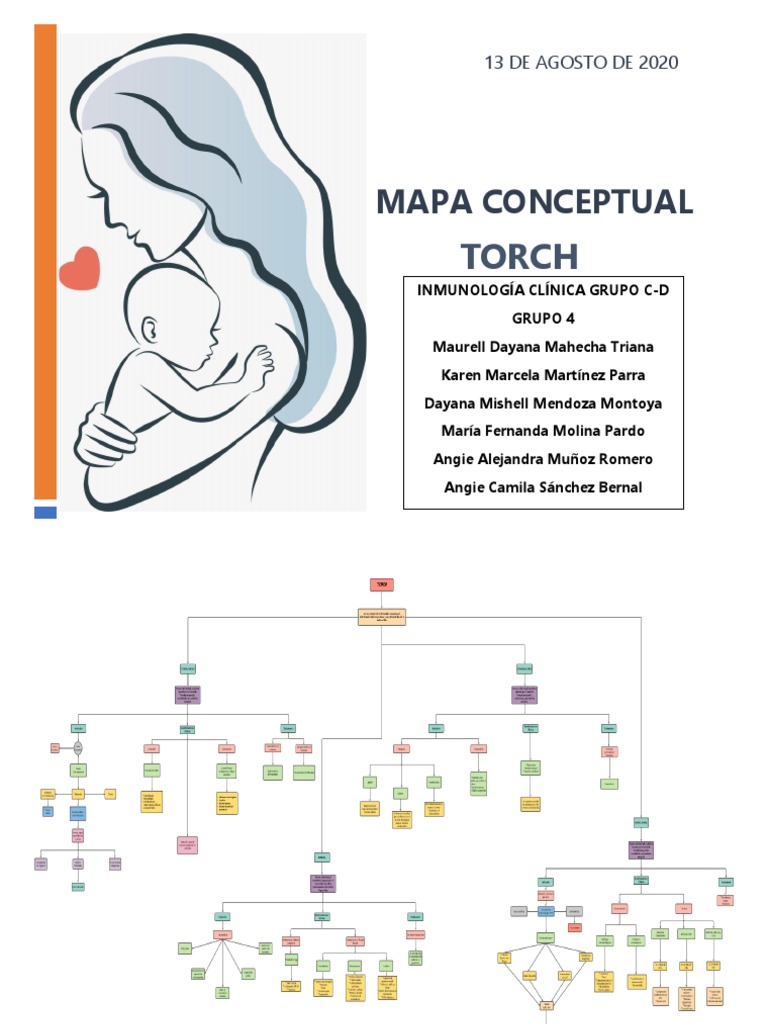 Mapa Conceptual Torch | PDF