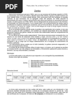 Historia de La Zamba | PDF | Bailes | Las artes escénicas