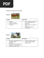 Ficha Técnica Del Pasto Imperial (Axonopus Scoparius, Hitchc) | PDF ...