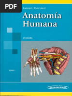 Netter - Anatomía de Cabeza y Cuello para Odontólogos, 3rd Edition Full ...
