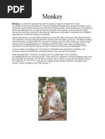 Monkey | PDF | Monkey | Ape