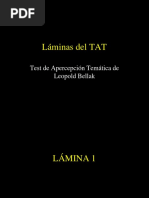 Laminas Cat-A | PDF