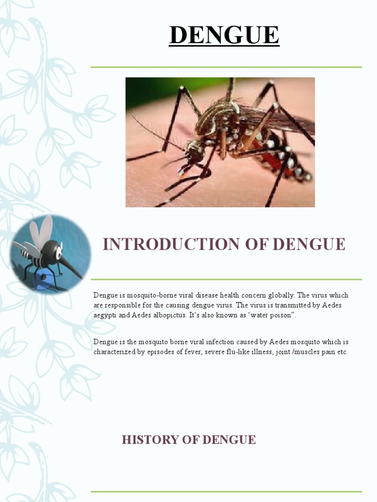 DENGUE | PDF | Microbiology | Animal Diseases