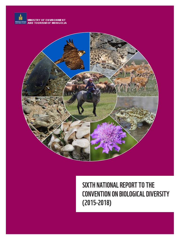 Sixth National Report To The Convention On Biological Diversity (2015 ...