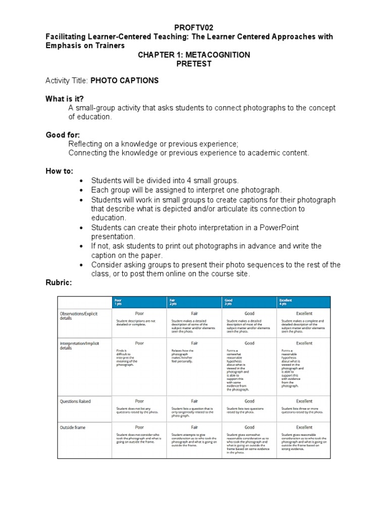 Metacognition Activity: Photo Captions | PDF