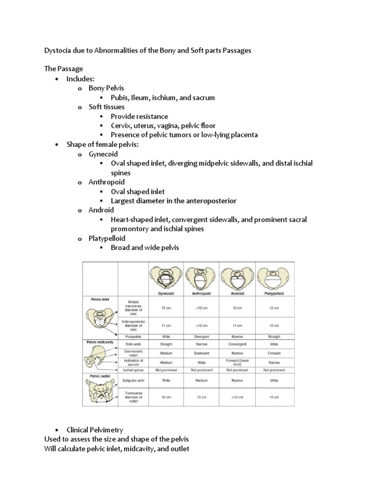Dystocia Causes and Assessment of Bony Pelvis and Soft Tissue Passages ...