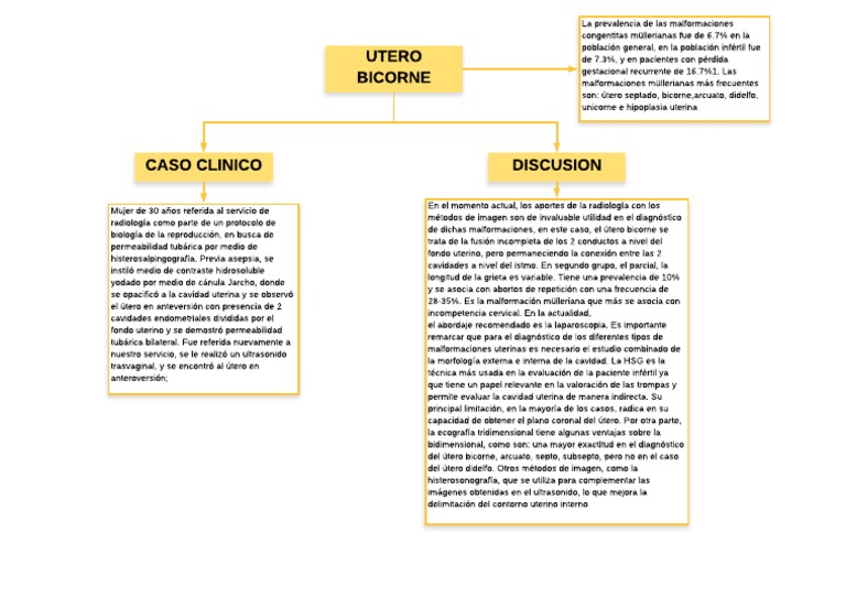 Mi Primer Documento | PDF | Útero | Radiología
