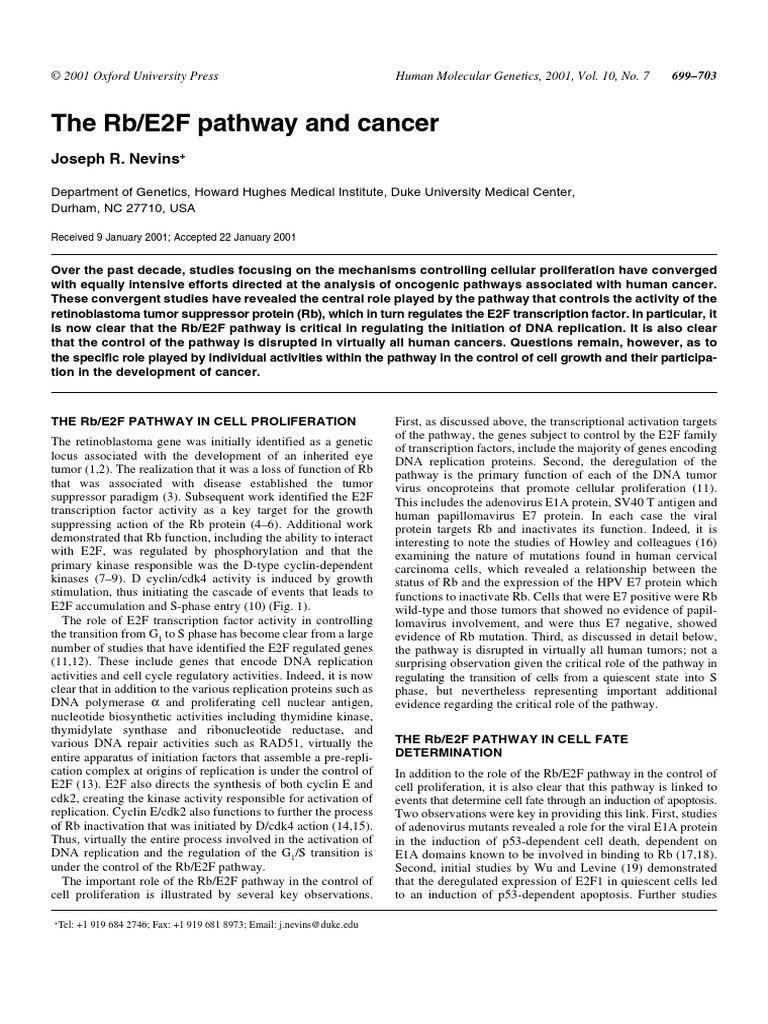 The Rb/E2F Pathway and Cancer: Joseph R. Nevins | PDF | Cell Cycle | P53
