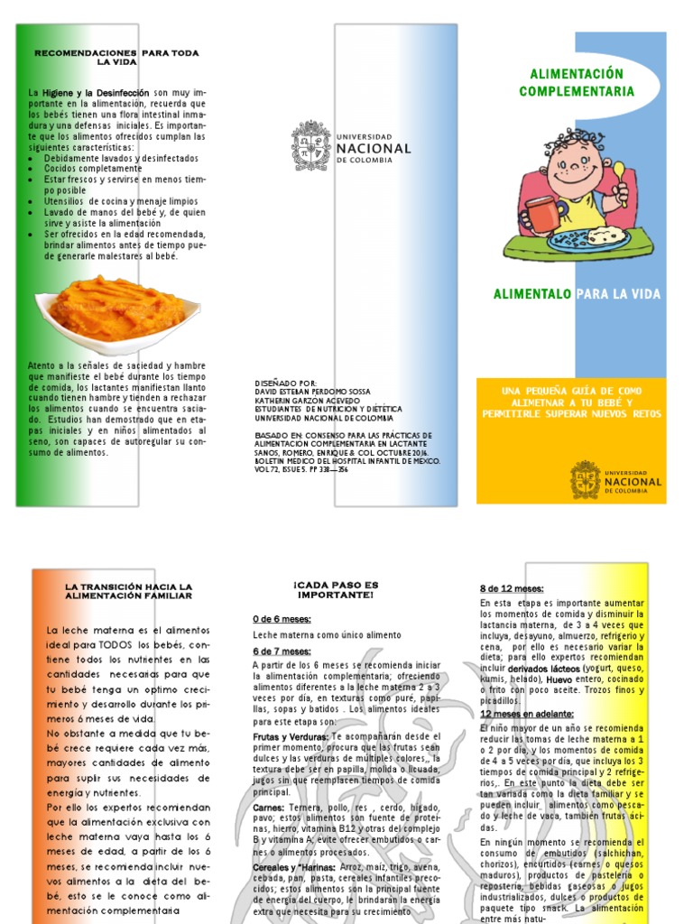Guía de Alimentación Complementaria | PDF | Cereales | Alimentos