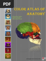 Netter's Anatomy Coloring Book | PDF