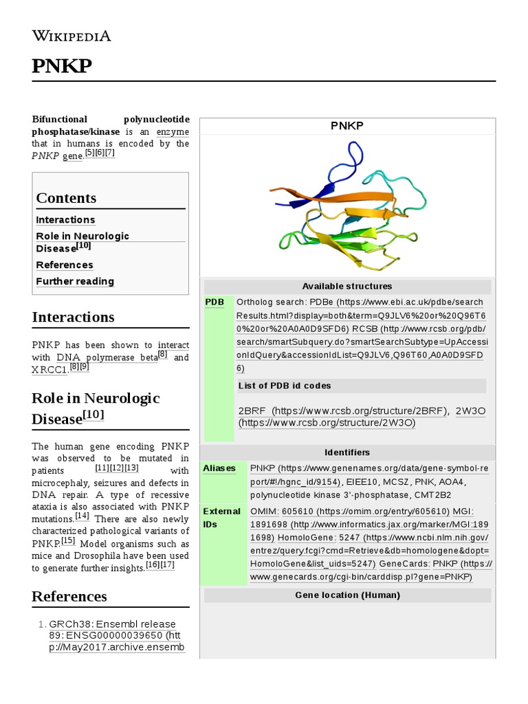 Bifunctional Polynucleotide Phosphatase/kinase Is An Enzyme | PDF ...