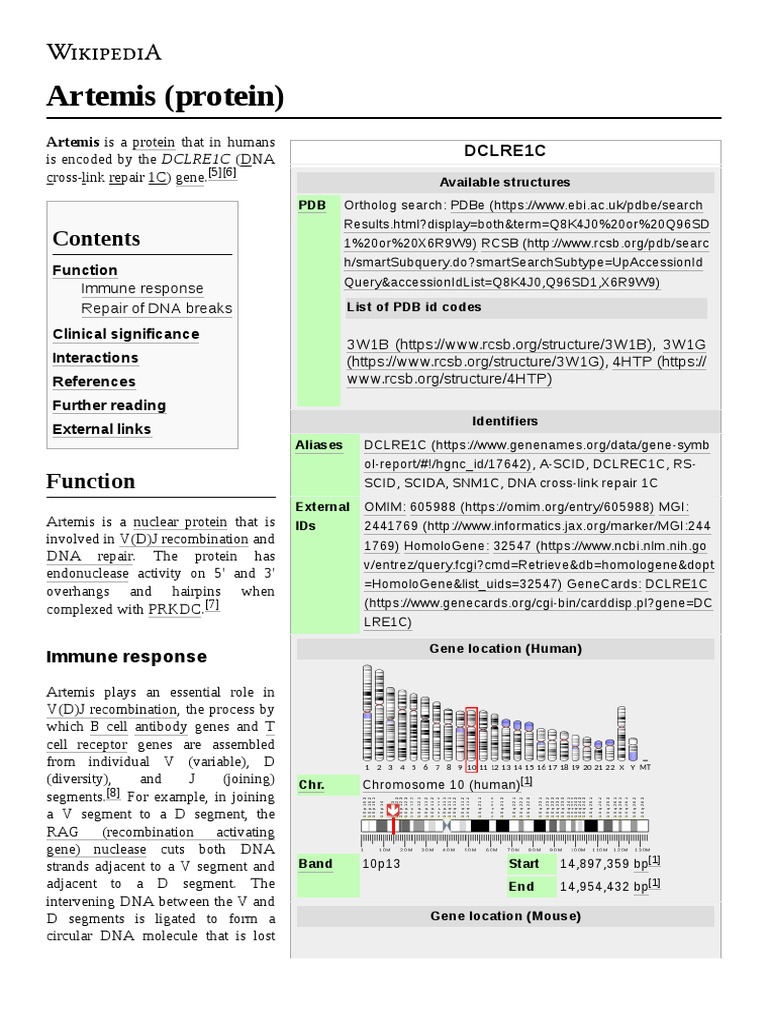 Artemis Is A Protein That in Humans | PDF | Nucleic Acids | Molecular ...