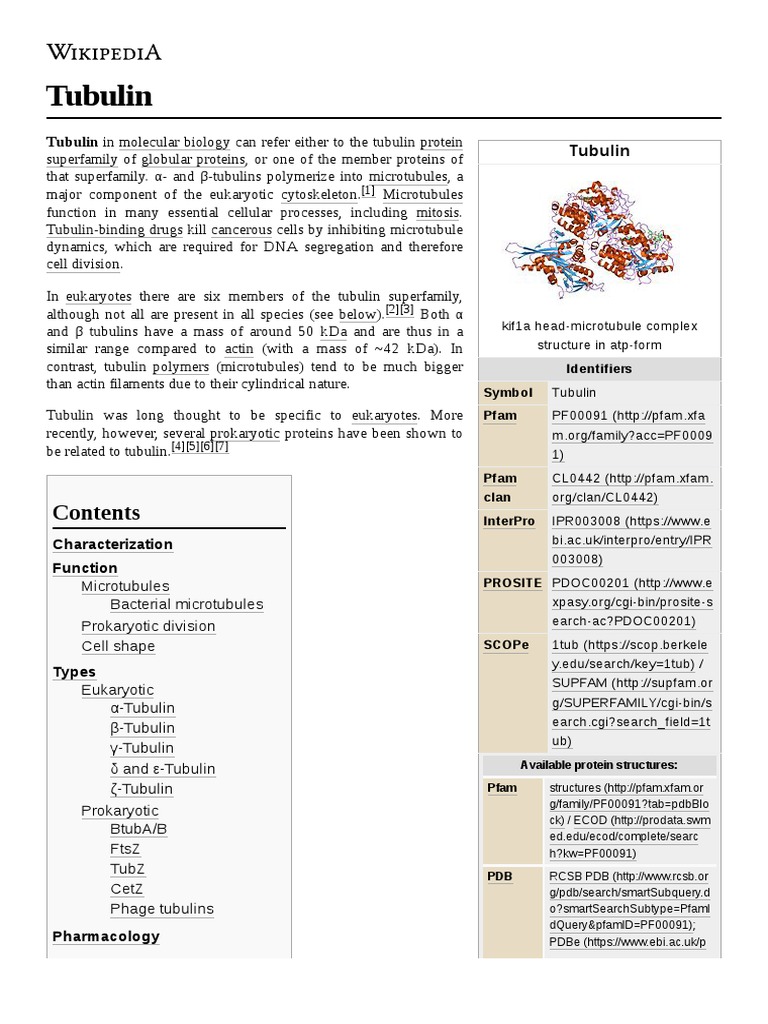 Tubulin: Tubulin in Molecular Biology Can Refer Either To The Tubulin ...