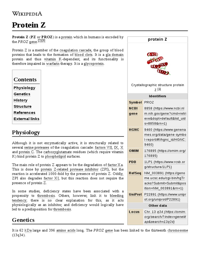 Protein Z | PDF | Coagulation | Proteins