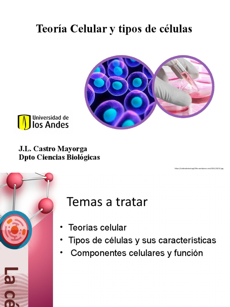 Teoría Celular y Tipos de Células | PDF | Biología Celular) | Eucariotas