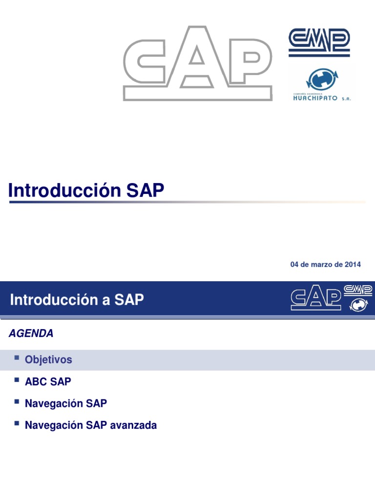 PM01 Introducción SAP VF | PDF | Planificación de recursos ...