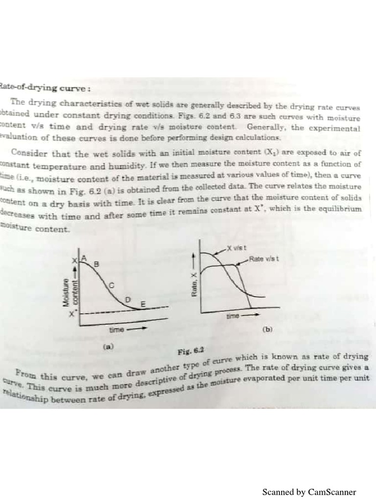 Rate of Drying Curve | PDF