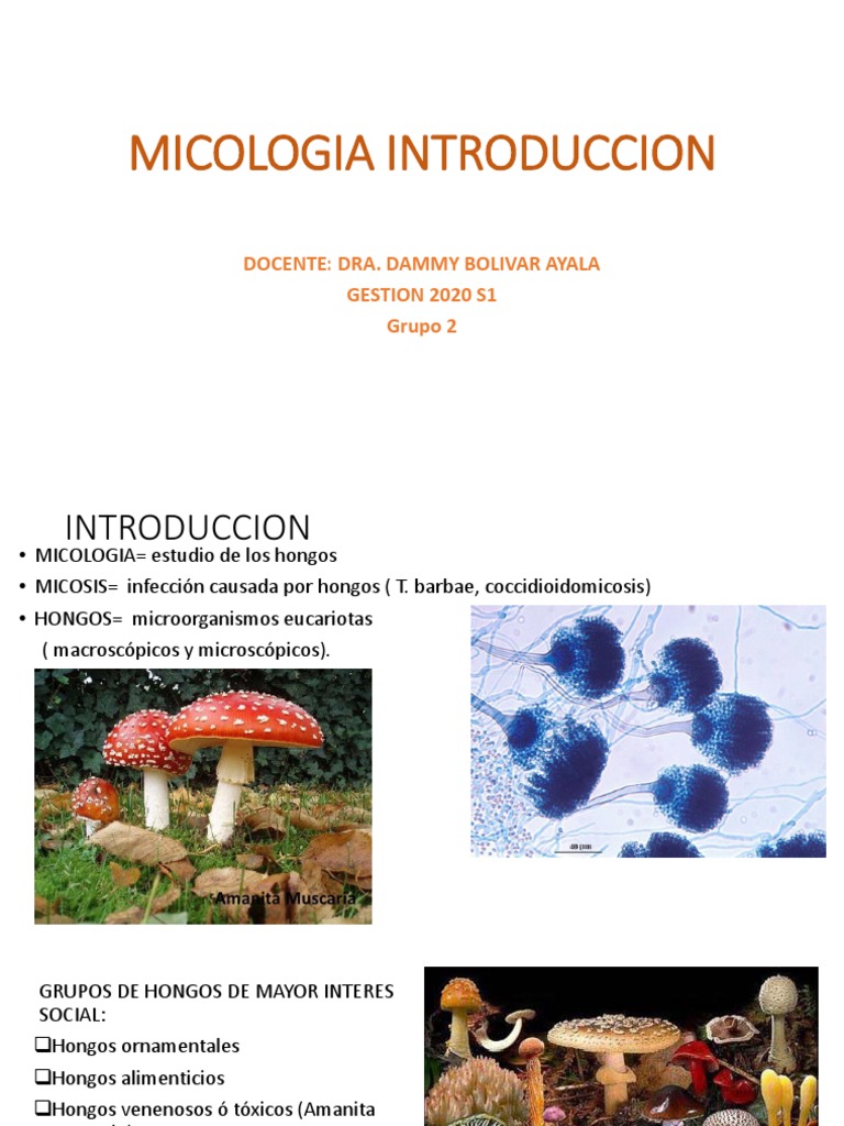 Micologia 2020 PDF | PDF | Espora | Hongo